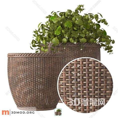 Rattan
