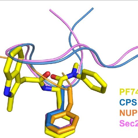 Host Factor Fg Motifs Share A Common Binding Conformation With The Pf74