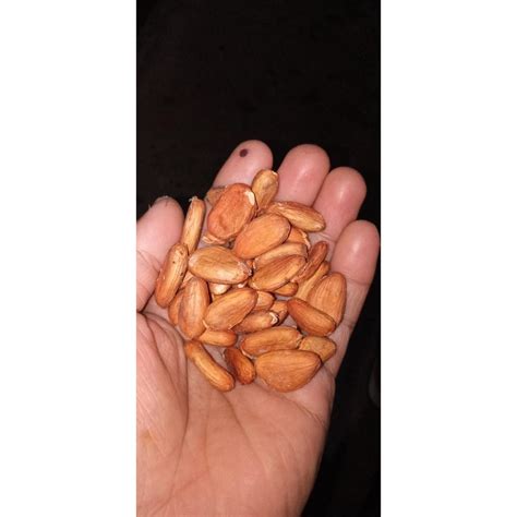 Harga Biji Kakao Kering 1kg Terbaru Okt 2025 Biggo Indonesia