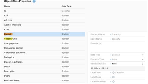 Access Boolean Labels In Functions Ask The Community Appfarm Community