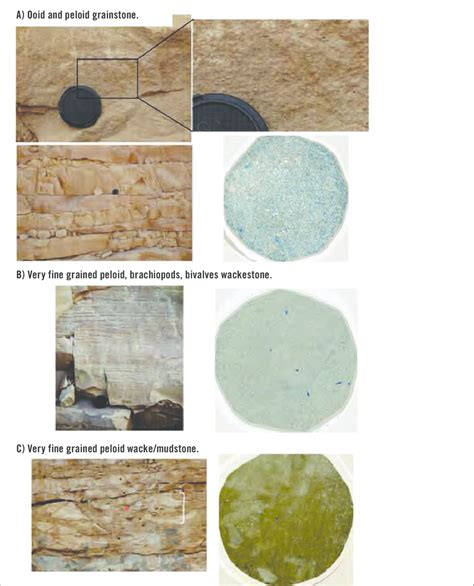 A Top Field Photo Of Ooidpeloid Grainstone The Enlargement Shows