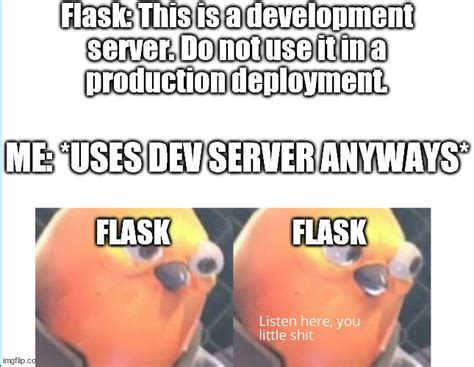 flask server r programmerhumor