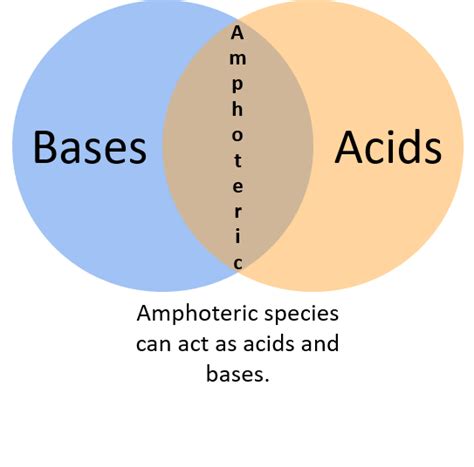 Amphiprotic Vs Amphoteric — Comparison And Examples Expii