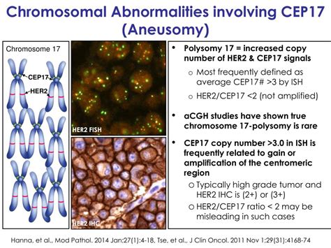 Ppt Her2 Testing In Breast Cancer 2013 Asco Cap Her2 Guideline Update Powerpoint Presentation
