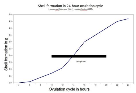 Optimal Calcium Supply For Laying Hens Lohmann Breeders