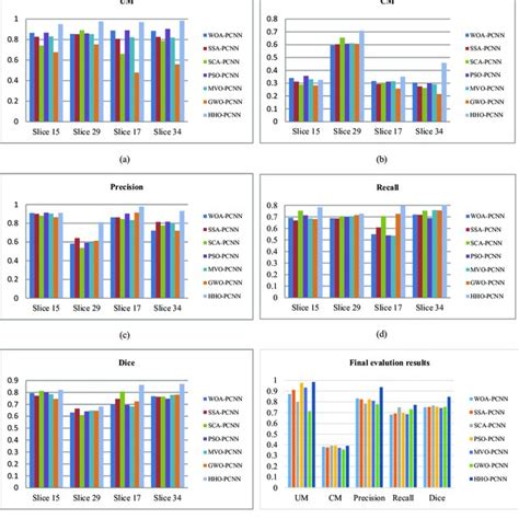 Different Algorithms Based On Image Entropy As Fitness Function A F