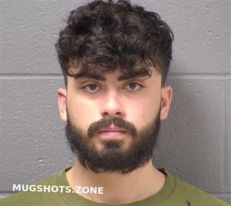 Shell Eric Emerson 01202023 Will County Mugshots Zone