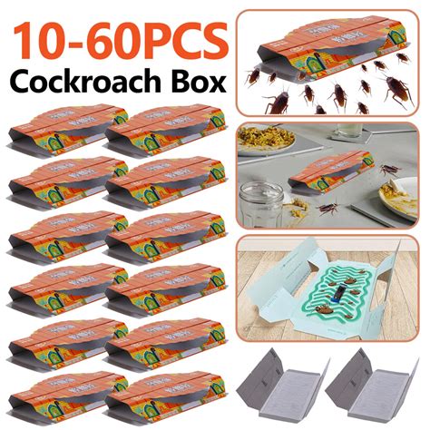 Jual 60 10pc Indoor Roach Traps Sticky Pest Control Trap Adhesive Glue