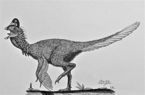 Anzu Pictures And Facts The Dinosaur Database