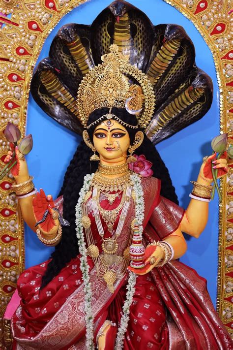 Maa Mansa Devi Photo