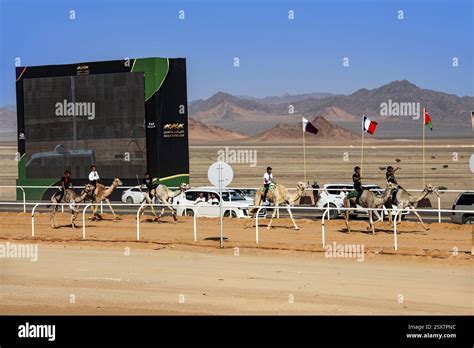 Al Ula Camel Cup At The Mughayra Heritage Sports Village Al Ula Saudi