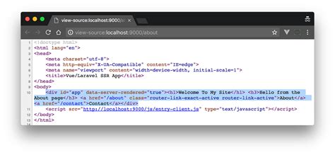 Advanced Server Side Rendering With Laravel And Vue