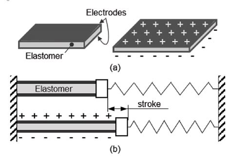 A Principe Of The Dielectric Elastomer Without Left And With Effect