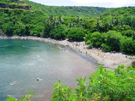 Honolua Bay Snorkeling Secrets The Complete Guide To Maui Snorkeling