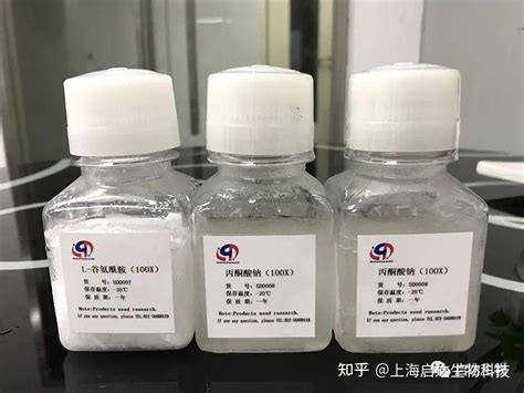 细胞培养无小事 知乎