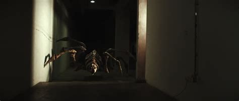 Naveed Saeed On Linkedin Short Clips Collection Of My Son