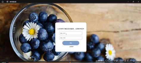 基于ssm vue基于的水果商城的设计与实现 开题报告 源码 论文 csdn博客