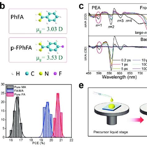 A Chemical Structure Of Pea And 4fpea Reprinted With Permission