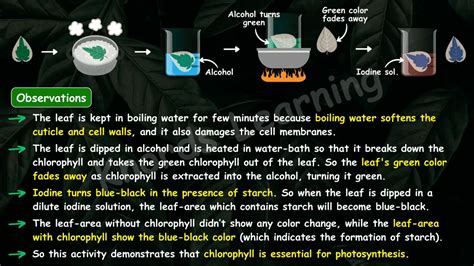 Notes Ch Life Processes Knords Learning