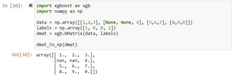 how to convert dmatrix to numpy format for your machine learning model