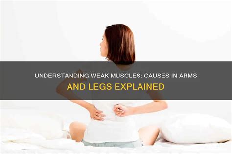 Understanding Weak Muscles Causes In Arms And Legs Explained Cyvigor