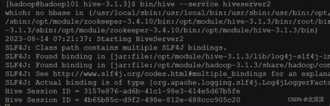 （十七）大数据实战——hive的hiveserver2服务安装部署 csdn博客