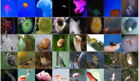going beyond gans deepmind researchers proposed vae model for