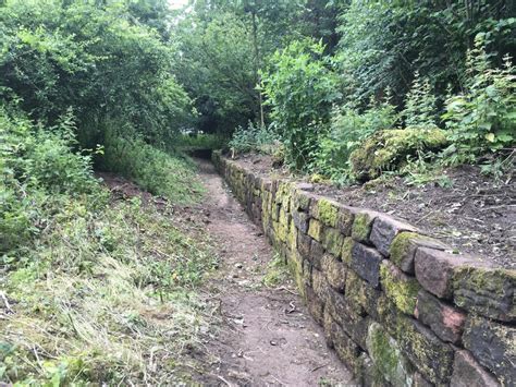 Nature And Wildlife Visit Halton