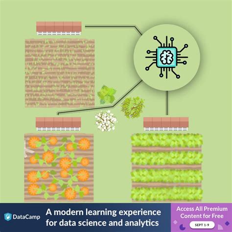 Deeplearning Bigdata Offers Ai4good Machinelearning Miguel Esteban
