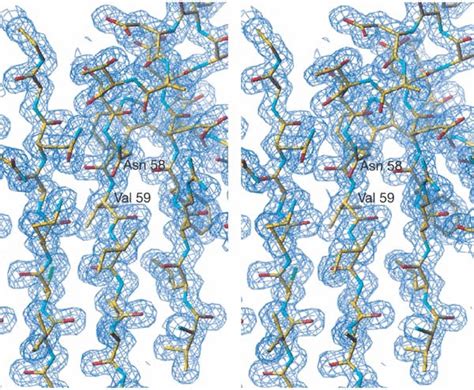 Stereo View Of A Section Of The Electron Density Map The Map Was Download Scientific Diagram