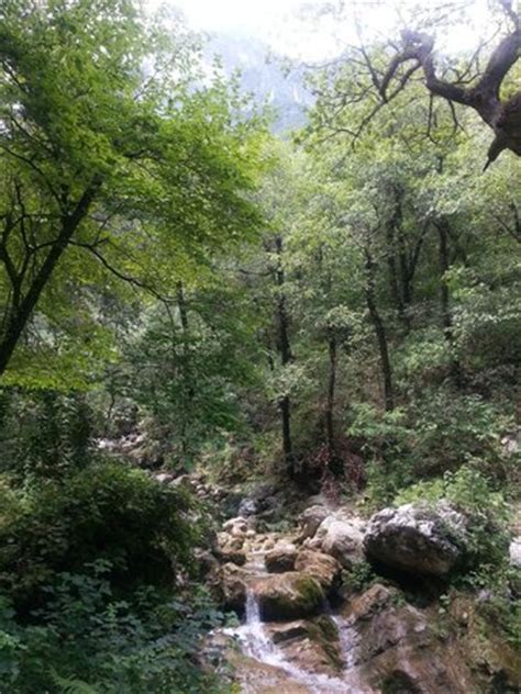 Parque Natural La Estanzuela Monterrey 2018 All You Need To Know