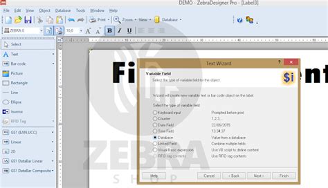 Como Acessar Um Banco De Dados Com O Zebradesigner Pro
