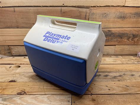 Lot Small Cooler