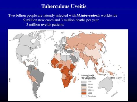 Ppt Uveitis Update Powerpoint Presentation Free Download Id3391738