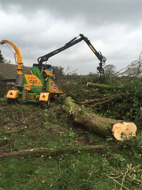 Tree Surgery Eden Woodlands Consultants Ltd Are A Cumbrian Based Company Carrying Out Tree