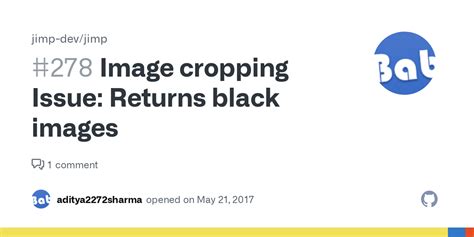 image cropping issue returns black images · issue 278 · jimp dev jimp
