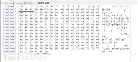 mastering advanced wireshark traffic analysis and base64 url encoding conversion techniques