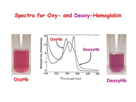 Ppt Hemoglobin Oxidation And Reduction Processes In Biochemistry Powerpoint Presentation Id