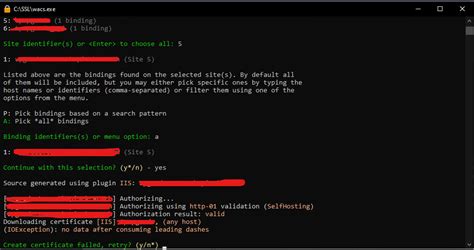 Wacs Exe Error After Downloading Certificate [iis] No Data After Consuming Leading Dashes