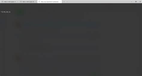 Help Wanted Tmux Print Control Chars After Startup · Issue 2844