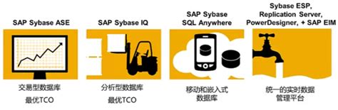Sybase 数据库 中思软件有限公司