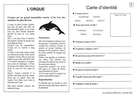 Lecturelittérature Cm1 Exercices Évaluation Révision Pdf Forum