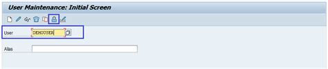 SAP BASIS Lock User
