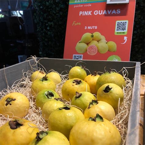 Pink Guavas Information Recipes And Facts