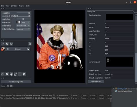 unable to visualize qboxlayout nor qtable · issue 12 · pyapp kit