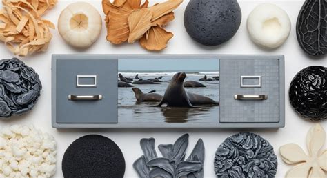 How Does Efrag Ensure Global Interoperability → Learn