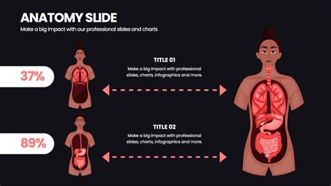 Ppt Gross Anatomy Of Skeletal Muscle Powerpoint Ppt Muscular System
