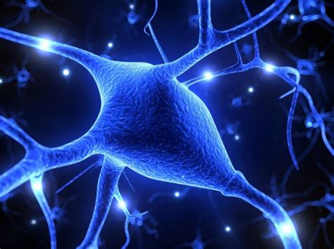 Esclerosis Multiple Tac Esclerosis Lateral Amiotrófica Diagnóstico