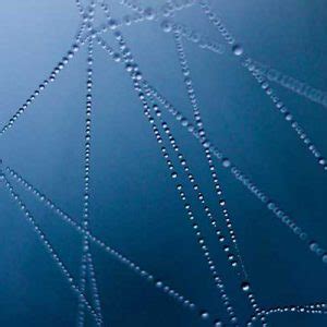 Change Wordpress Urls In Mysql Database When Site Is Moved To New Host