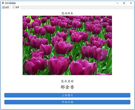 基于pythonopencvtensorflow卷积神经网络cnn花卉分类识别系统 索炜达猿创
